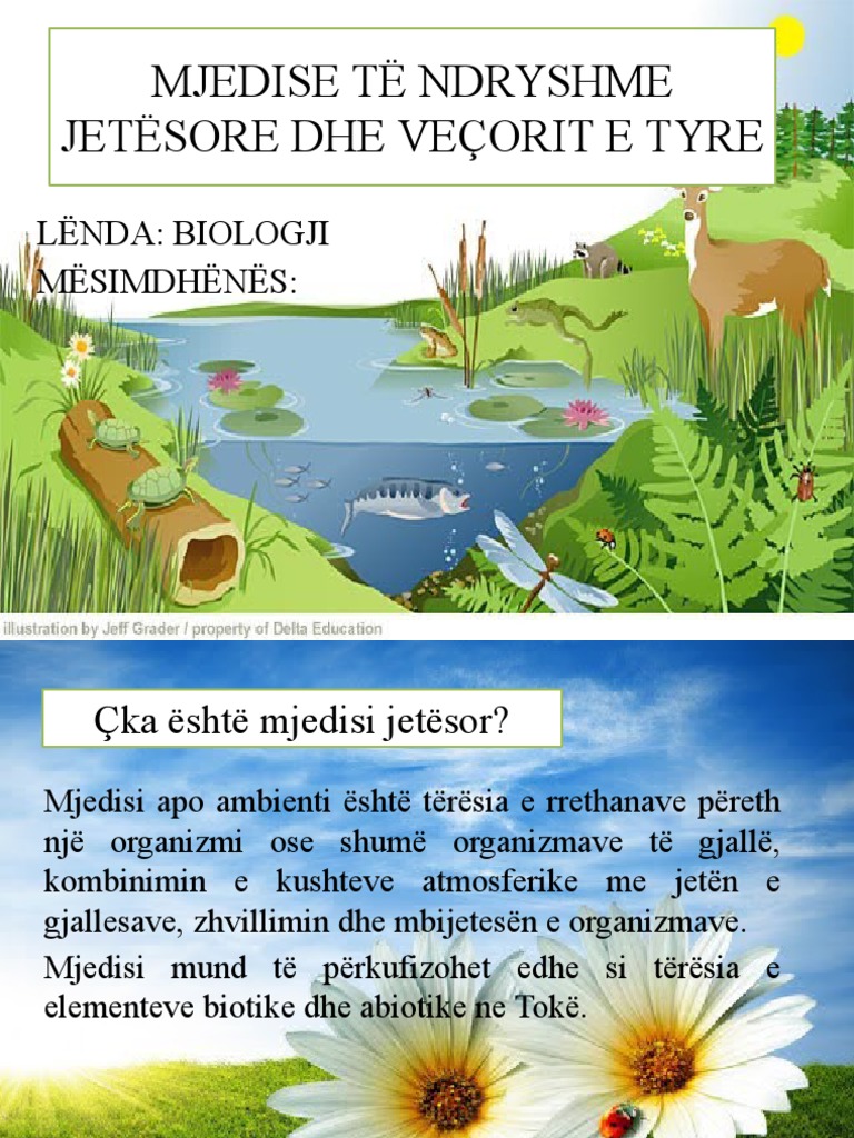 Mjedise Të Ndryshme Jetësore Dhe Veçorit e Tyre | PDF