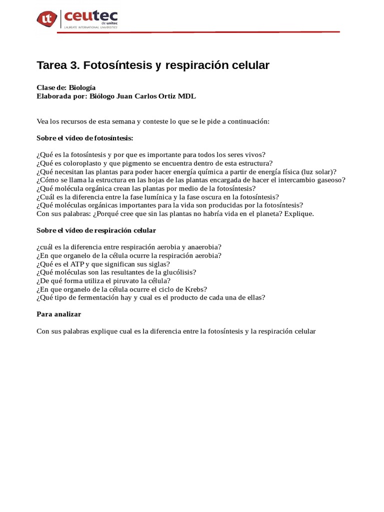 Tarea 3. Fotosintesis y Respiracion Celular | PDF