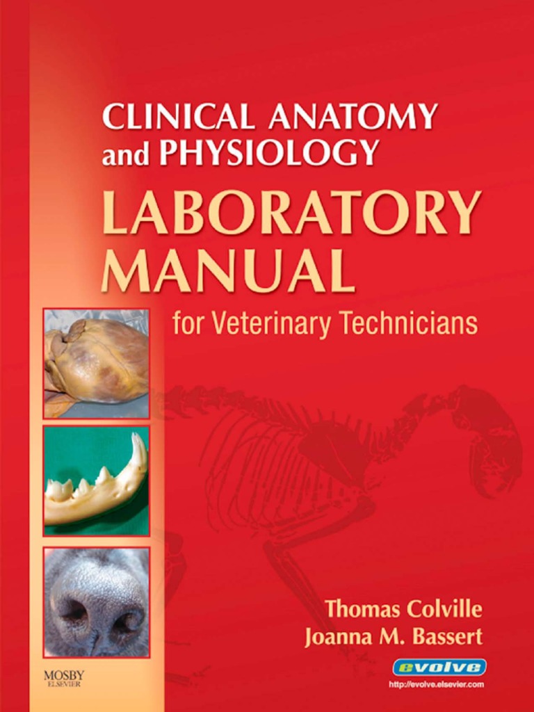 Clinical Anatomy and Physiology Laboratory Manual For Veterinary Technicians 1st Edition | PDF