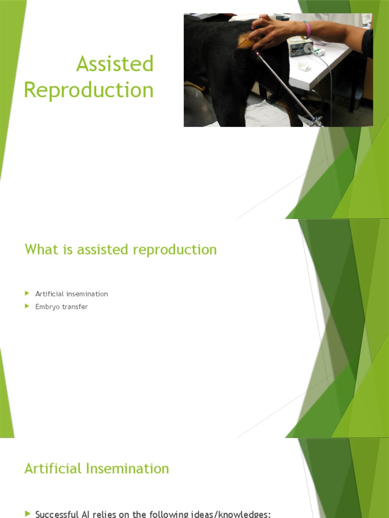 Artifical Insemination | PDF | Reproduction | Human Reproduction