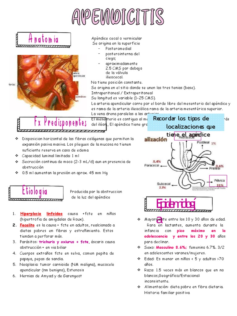 Apendicitis | PDF | Anatomía | Medicina