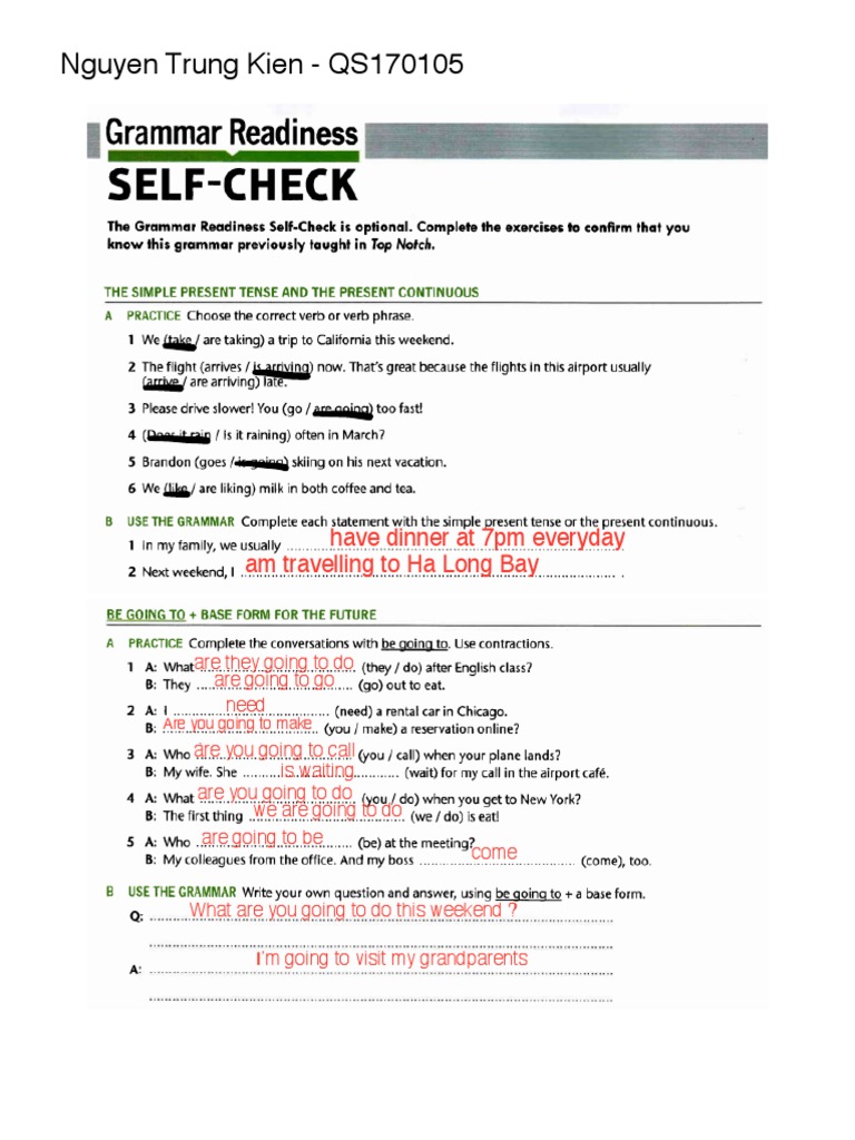 Grammar Readiness Check | PDF