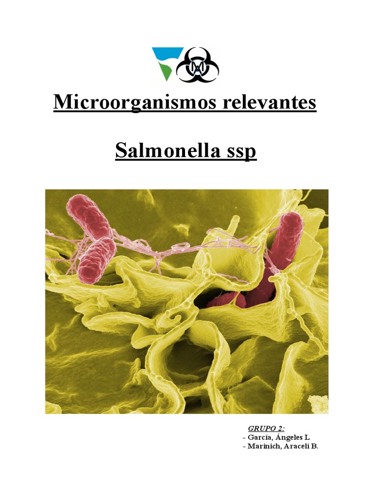 Salmonella Informe | Descargar gratis PDF | Salmonela | Las bacterias