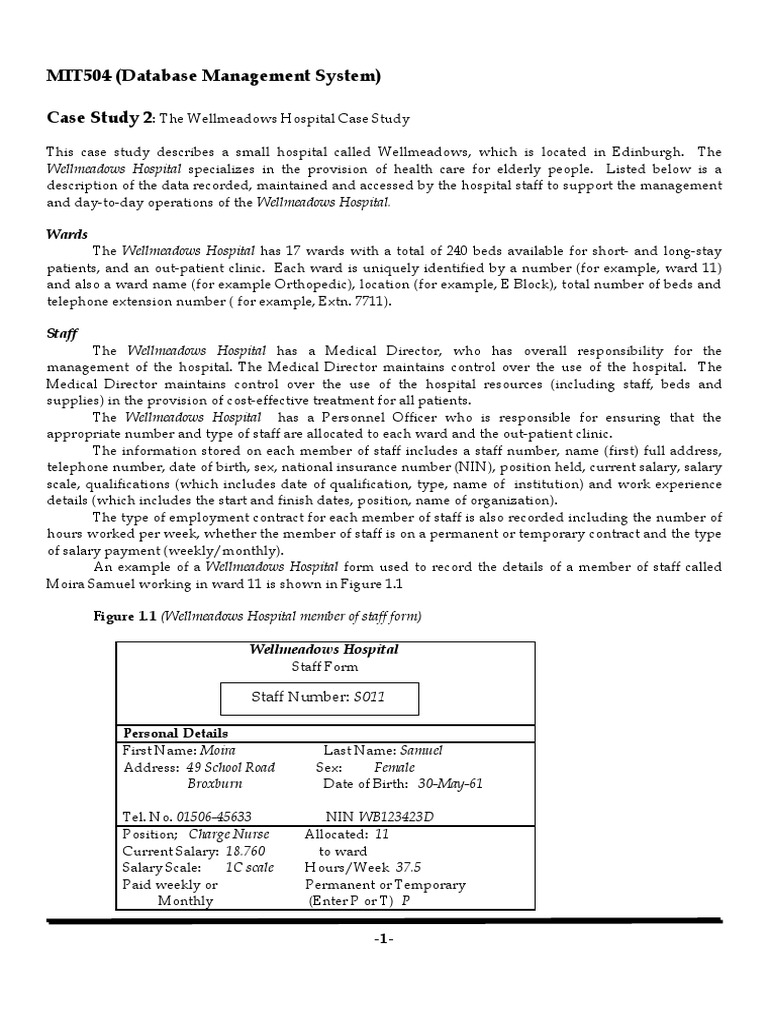 WellMeadows Case Study | PDF | Hospital | Nursing