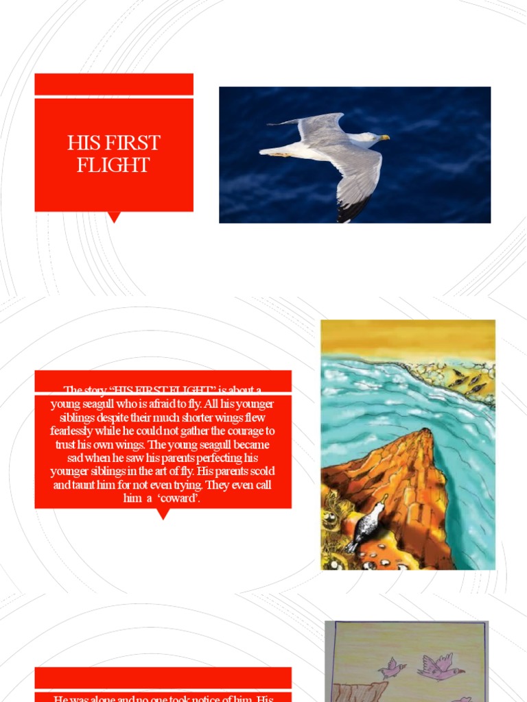 His First Flight | PDF