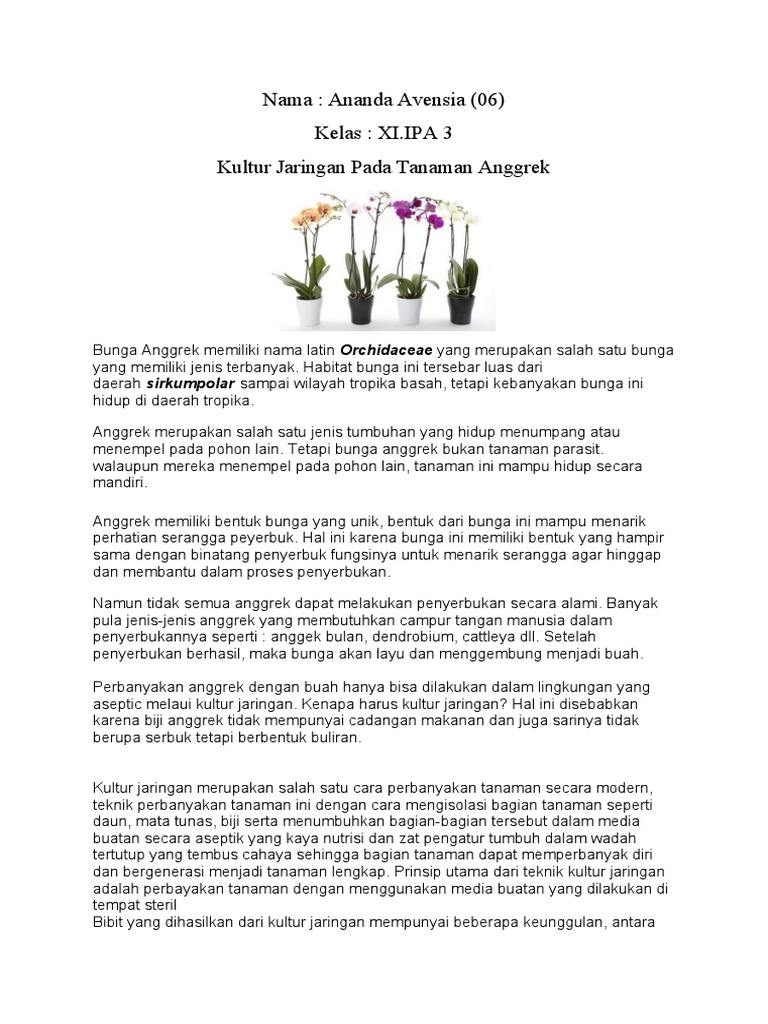 Kultur Jaringan Anggrek: Panduan Praktis | PDF
