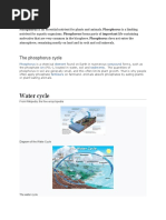 Science of Rain: Impact and Patterns | PDF