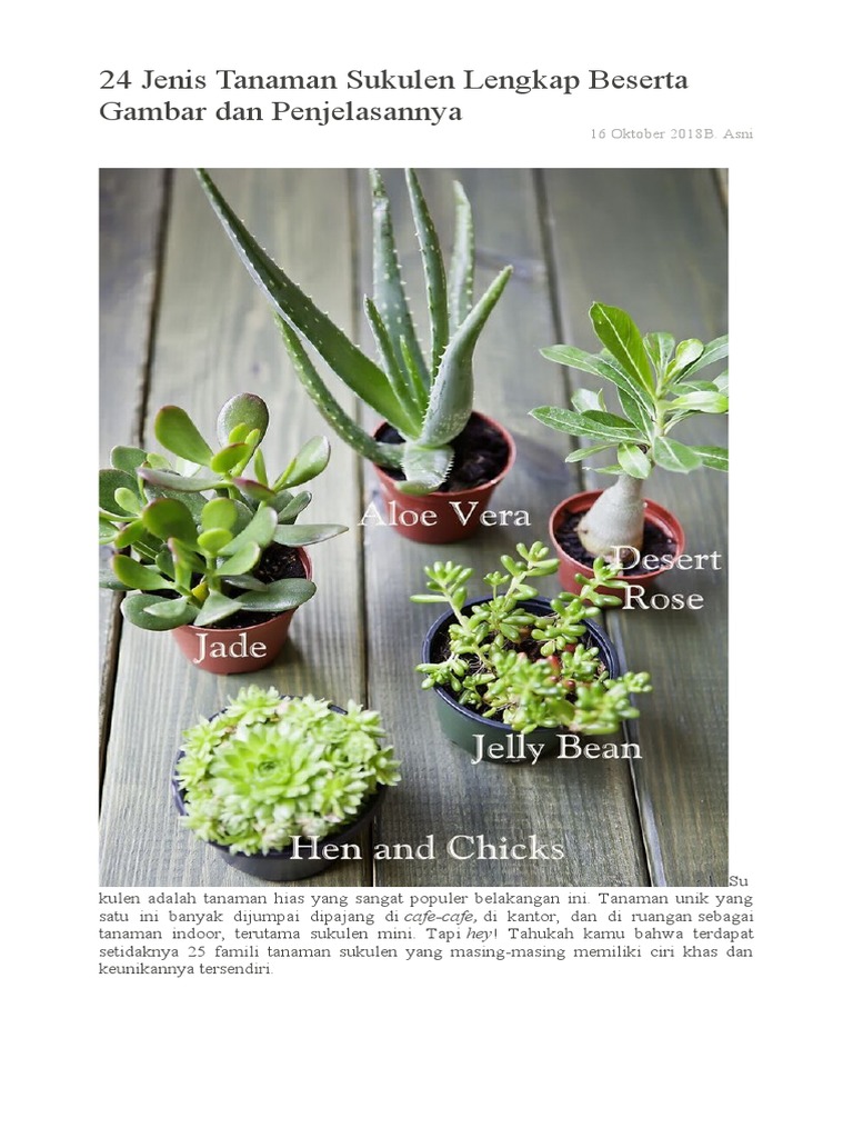 24 Jenis Tanaman Sukulen Lengkap Beserta Gambar Dan | PDF