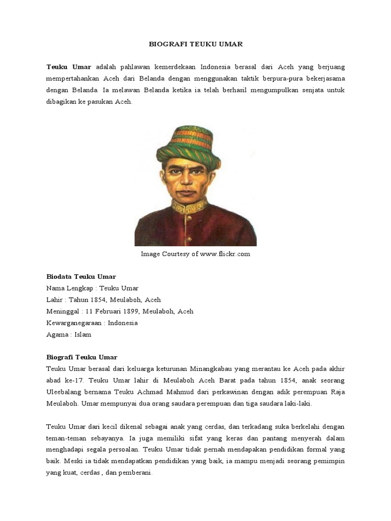 Biografi Teuku Umar | PDF