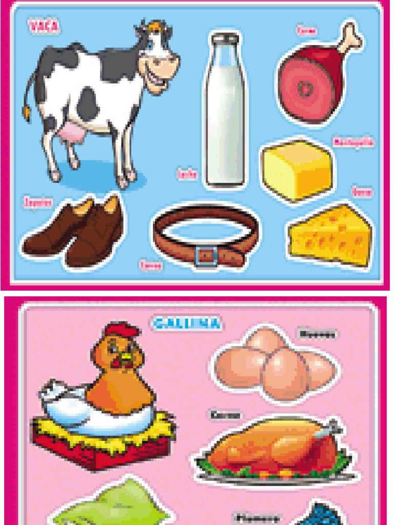 Animales De La Granja Y Sus Derivados Pdf