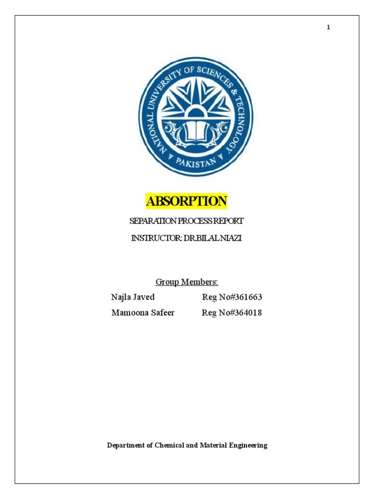 Absorption Separation Process Overview | PDF | Fuels | Carbon Dioxide