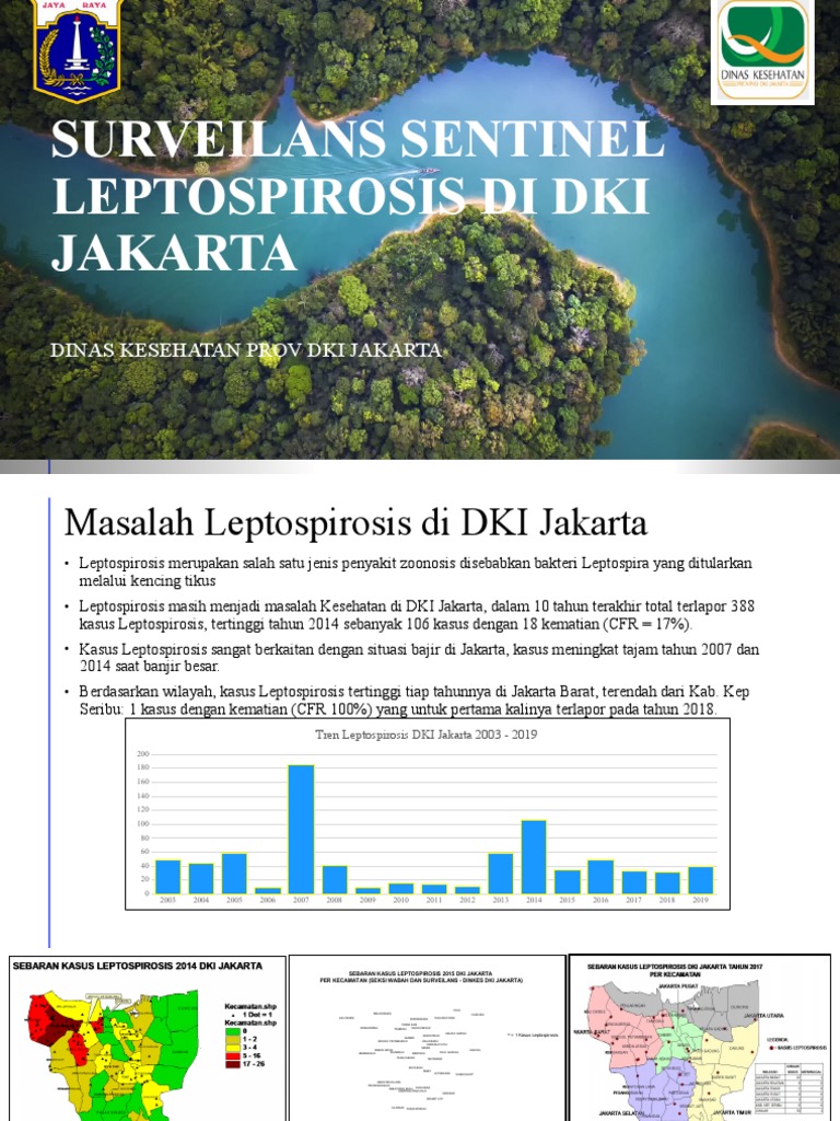 Surveilans Sentinel Leptospirosis Di Dki Jakarta HSL Studi | PDF