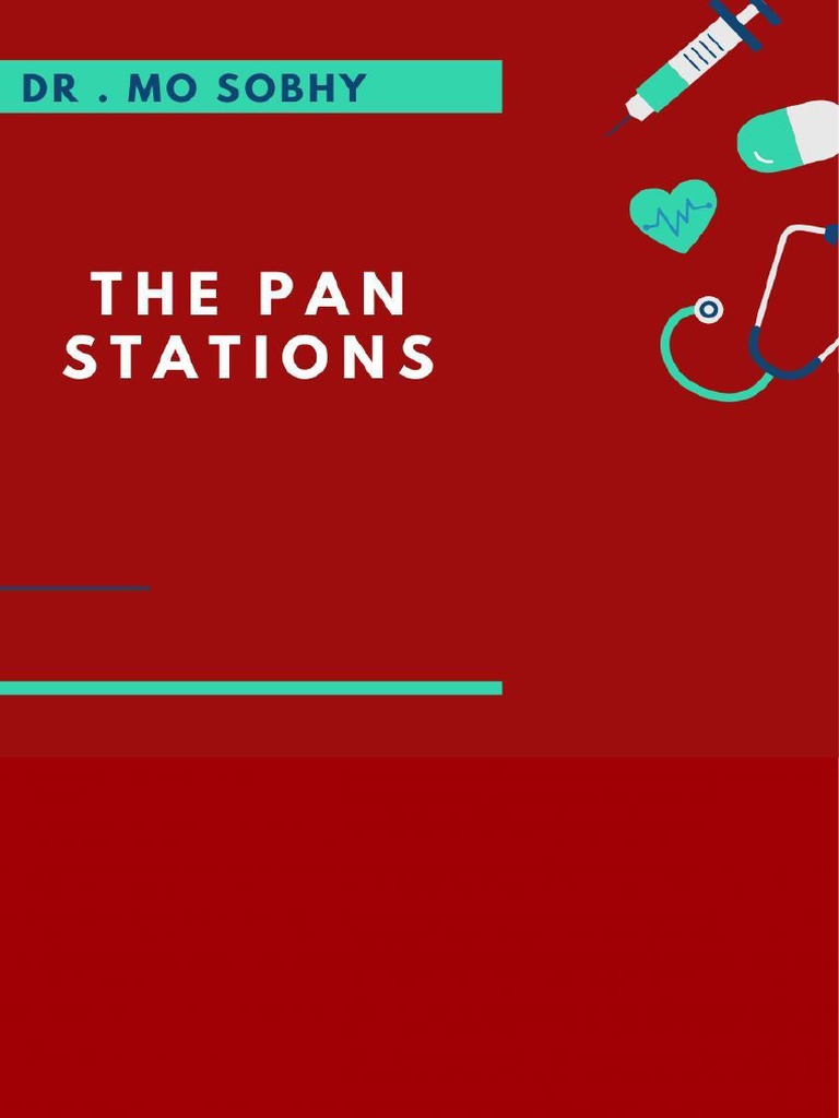 The Pan Stations | PDF | Stroke | Health Sciences