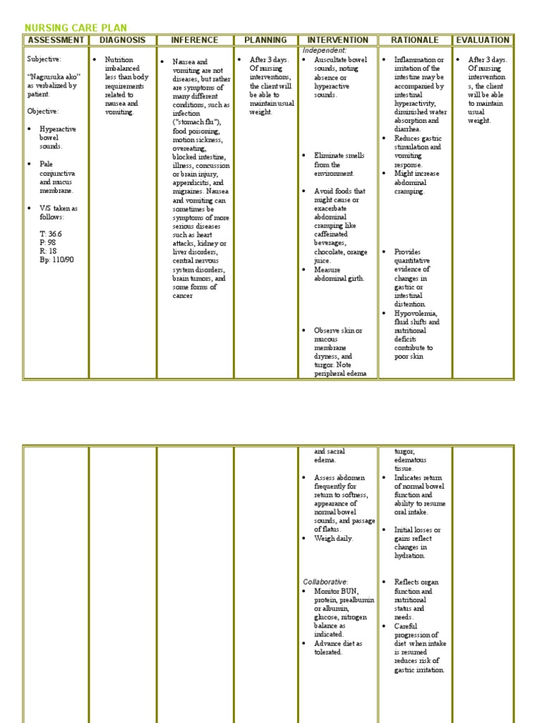 Nursing Care Plan for Nausea and Vomiting | PDF | Nausea | Vomiting
