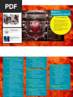 Understanding the Human Body Systems and Common Diseases Prevention and ...