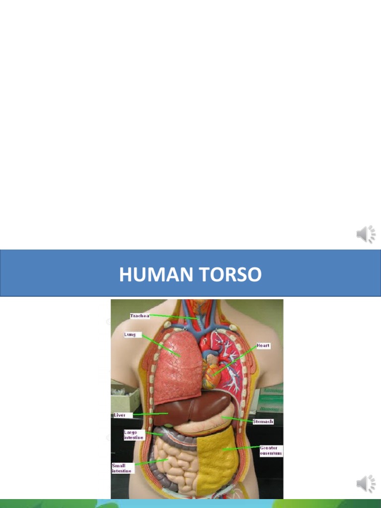 ENDOCRINE SYSTEM Copy2 | PDF | Human Body | Endocrine System