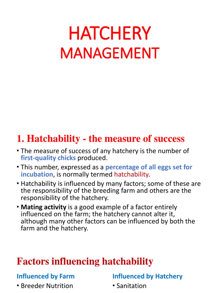 Poultry Hatchery Management Essentials | PDF | Egg | Chicken