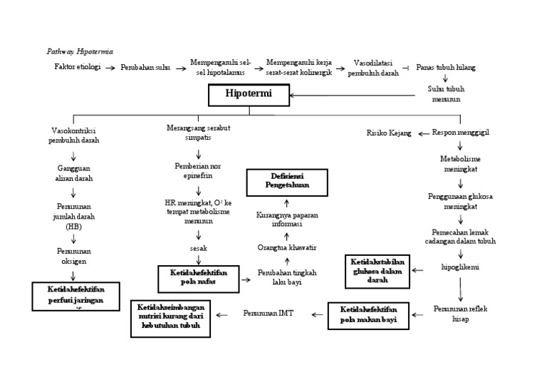 Pathway Hipotermia FIX | PDF