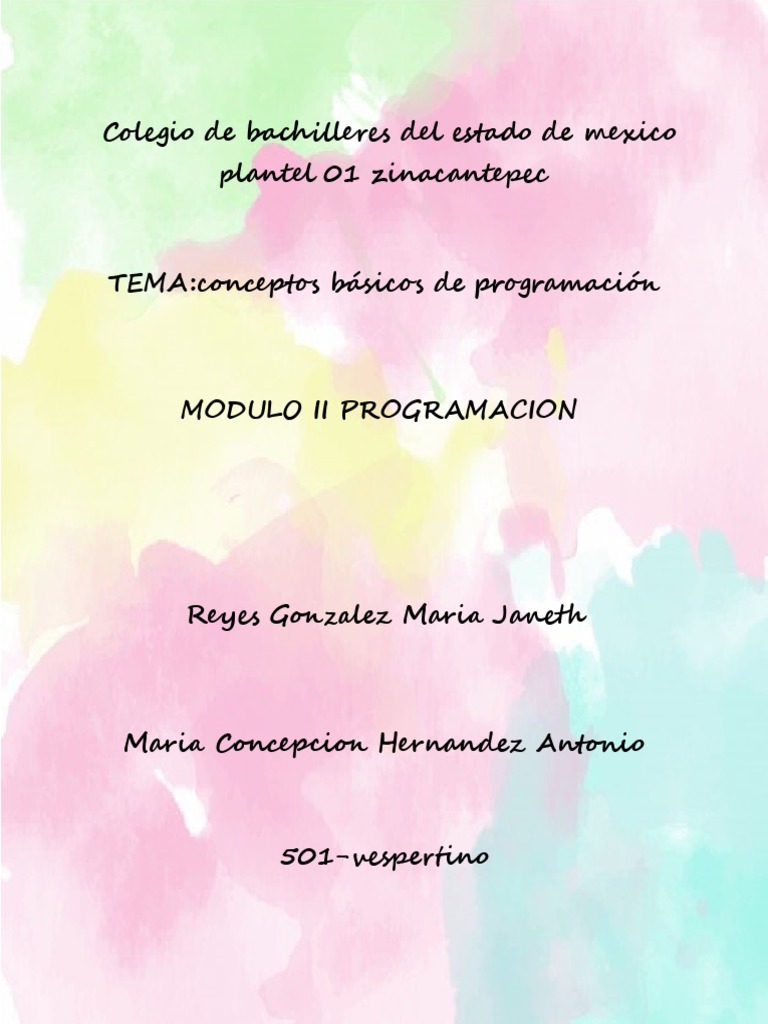 Conceptos Basicos de Pogramacion | PDF