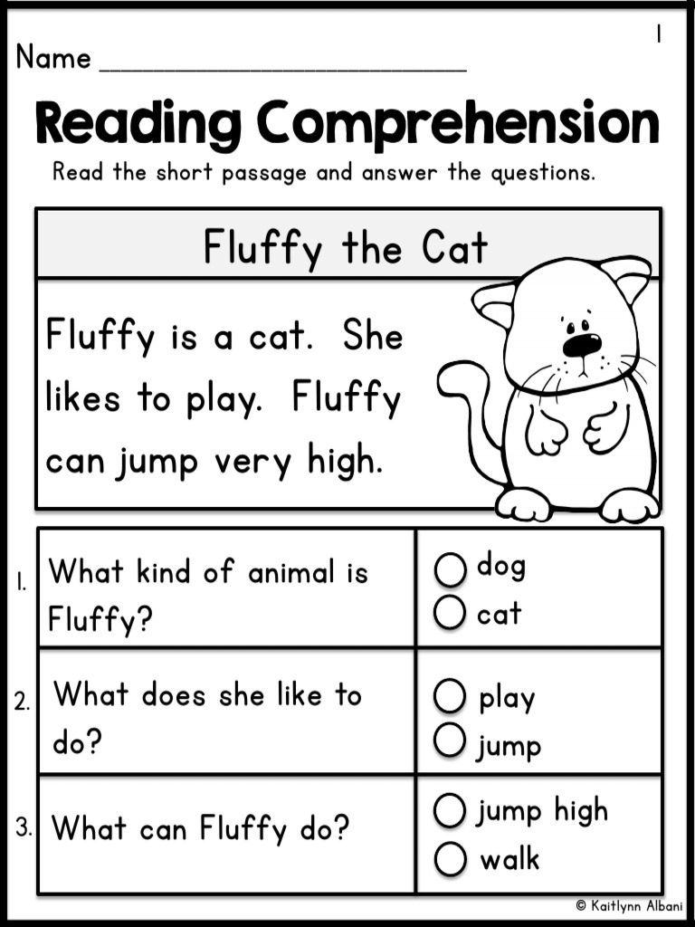 Fluffy The Cat: Reading Comprehension | PDF