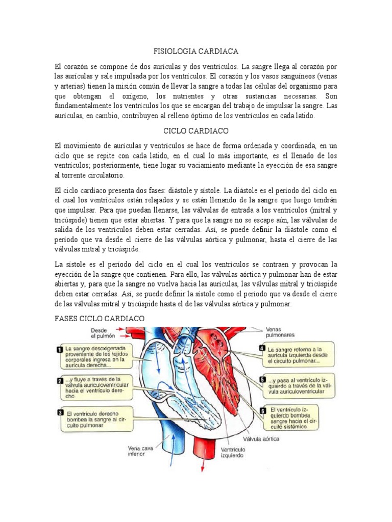 Fisiologia Cardiaca | PDF