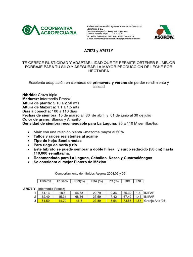 Maíz Elotero A7573: Características Clave | PDF