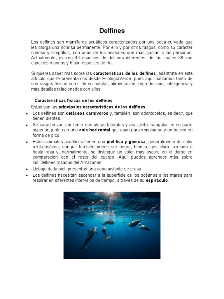 Características y hábitat de los delfines | PDF | Organismos