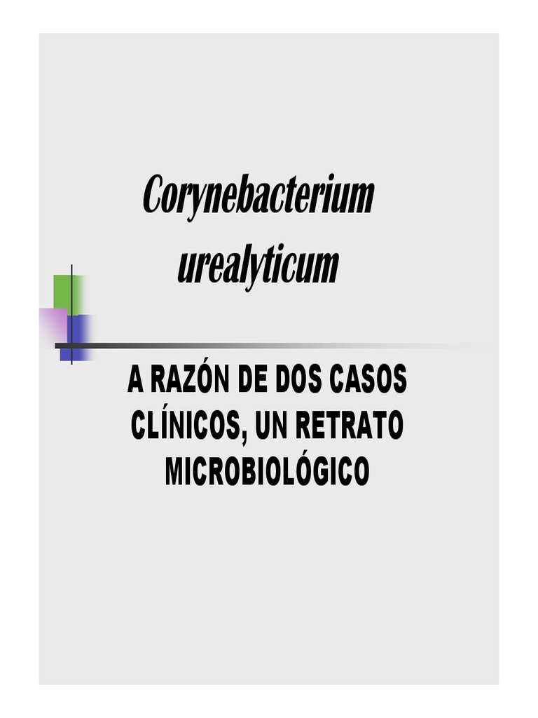 Corynebacterium urealyticum: Análisis Clínico | PDF | Las bacterias ...