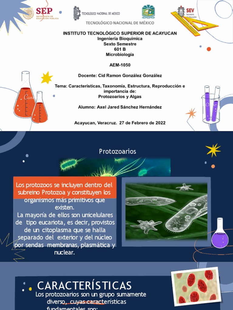 MICROBIOLOGIA | PDF | Algas | Biología Celular)