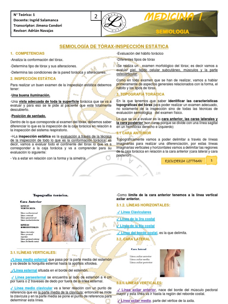 Inspección Estática de Tórax | PDF | Tórax | Pulmón