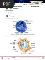Grade 10 - Life Science - November Exam | PDF | Tissue (Biology) | Bone