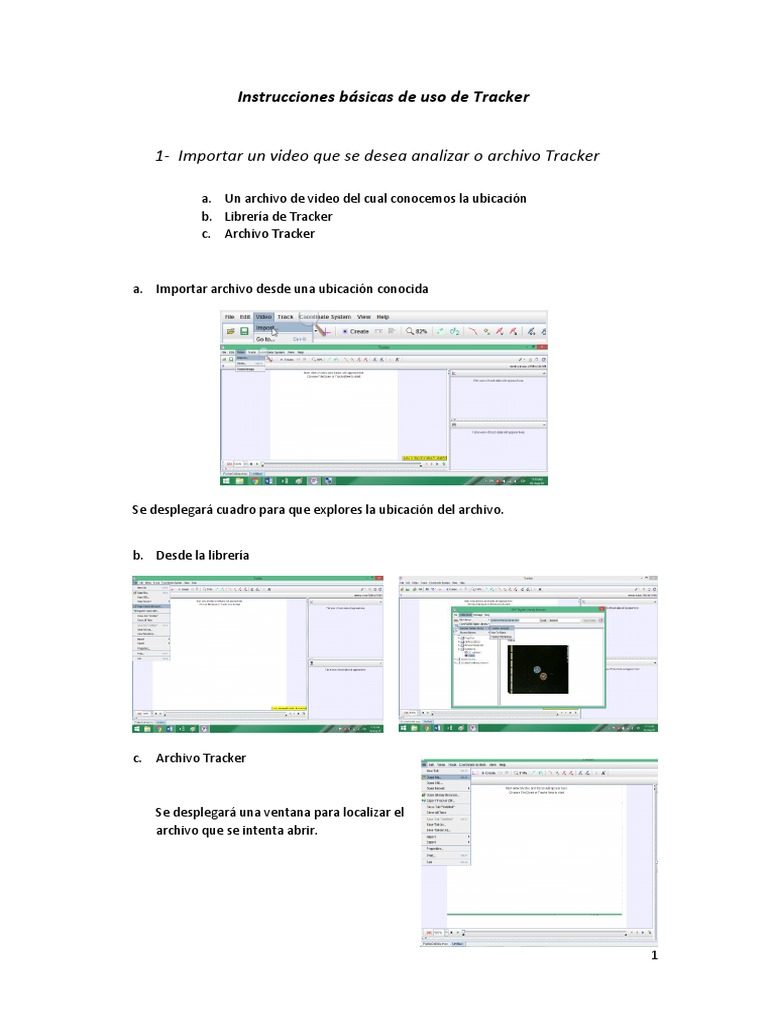 Instrucciones Básicas de Uso de Tracker | PDF | Masa | Software
