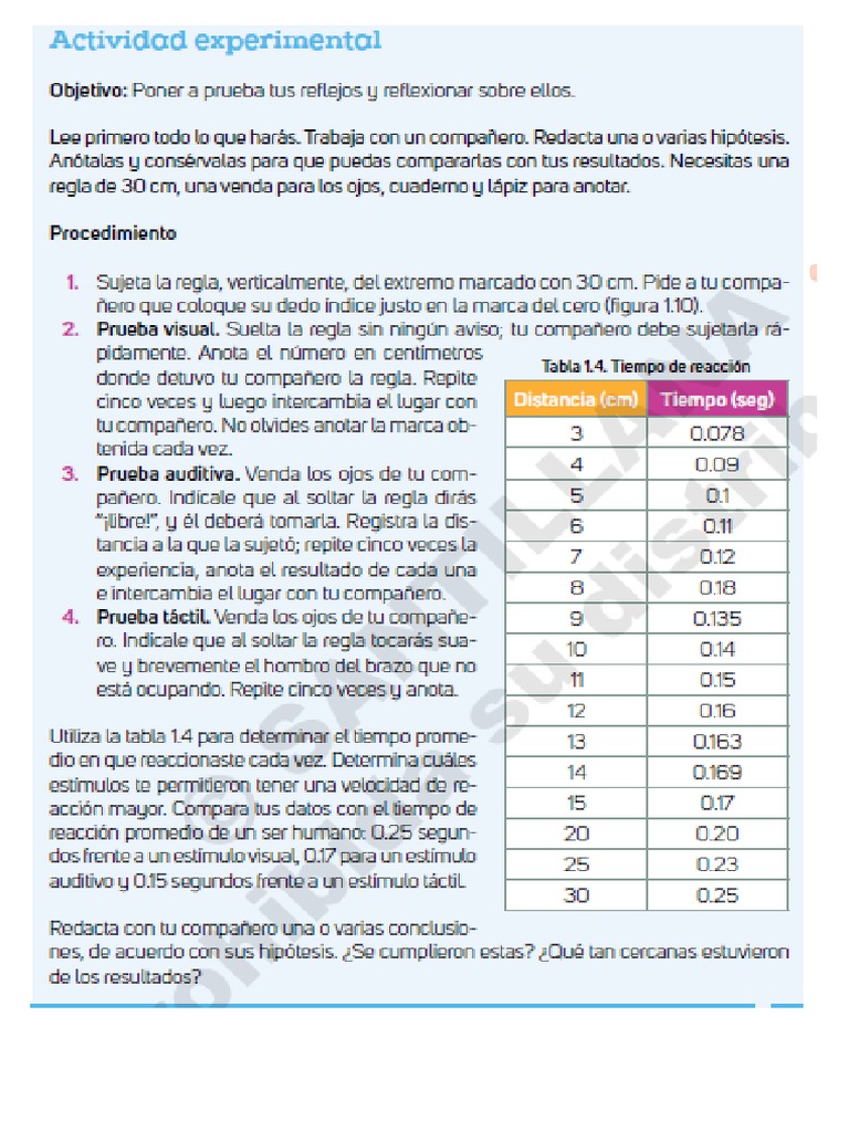 Experimento Fisica | PDF