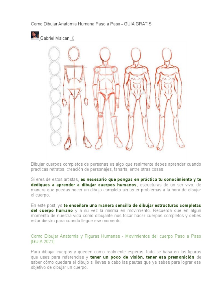 Como Dibujar Anatomia Humana Paso A Paso Pdf Dibujo Anime