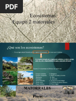 Matorrales: Desafíos y Conservación | PDF | México | Agricultura