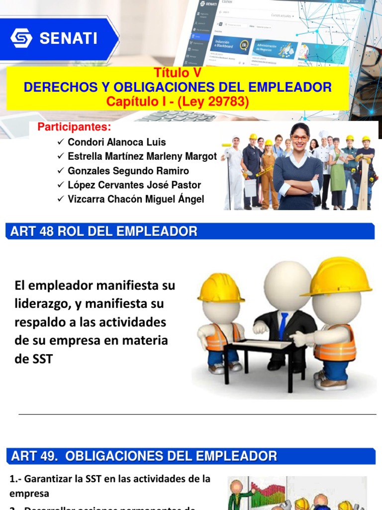 Análisis Ley 29783 | PDF | Seguridad y salud ocupacional