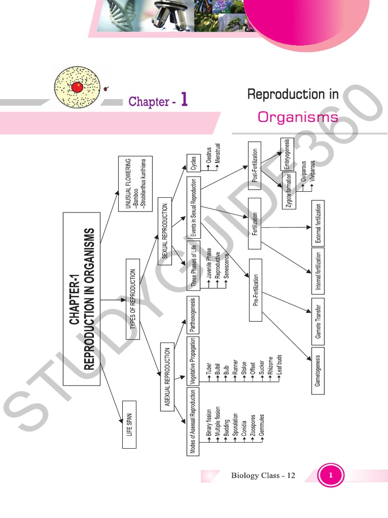 Class 12 Biology Notes Chapter 1 Studyguide360 | PDF