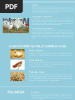 Despiese Ce Pollo Partes Del Pollo | PDF | Menudencias | Carne