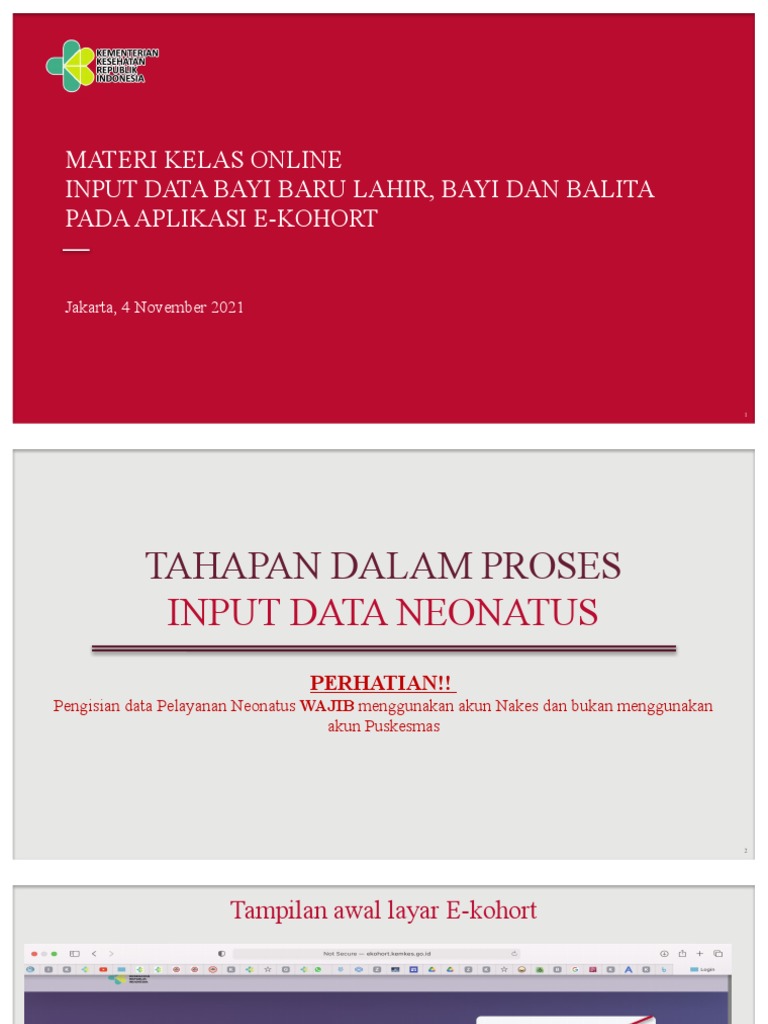 Panduan Input Data E-Kohort KIA | PDF