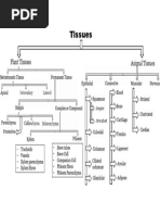 BIO-TISSUES MIND MAP Class 9 | PDF