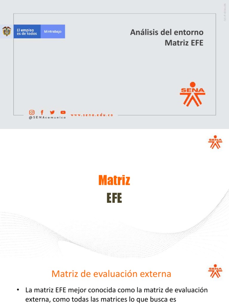 3.matriz EFE o Analisis Del Entorno | PDF | Matriz (Matemáticas) | Business