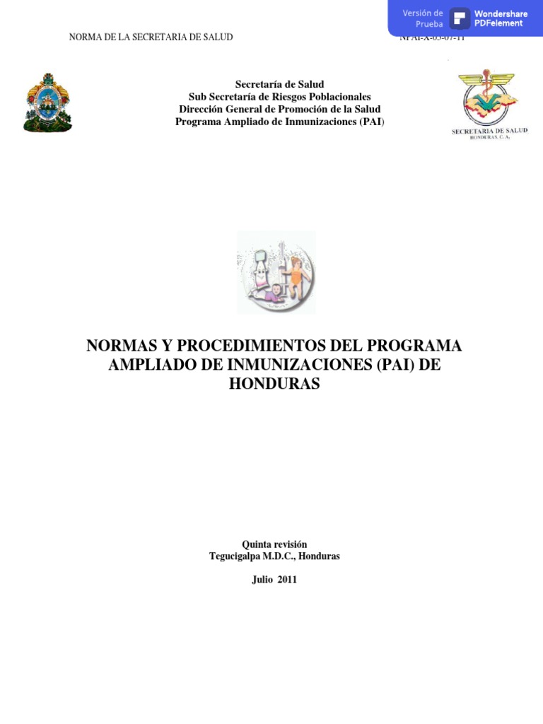 Normas y Procedimientos Del Programa Ampliado de Inmunizaciones (Pai ...