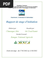 Rapport de Stage STB | PDF | Banques | Tunisie