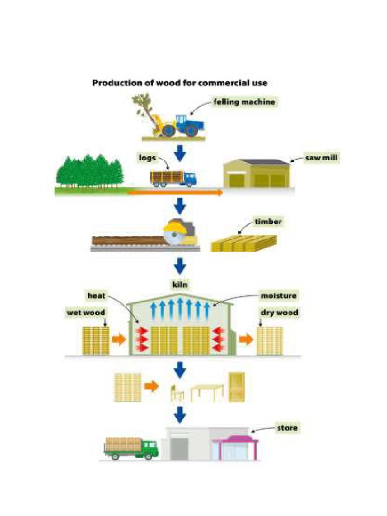 The Six Step Process: From Tree to Store Shelf - A Flow Chart ...