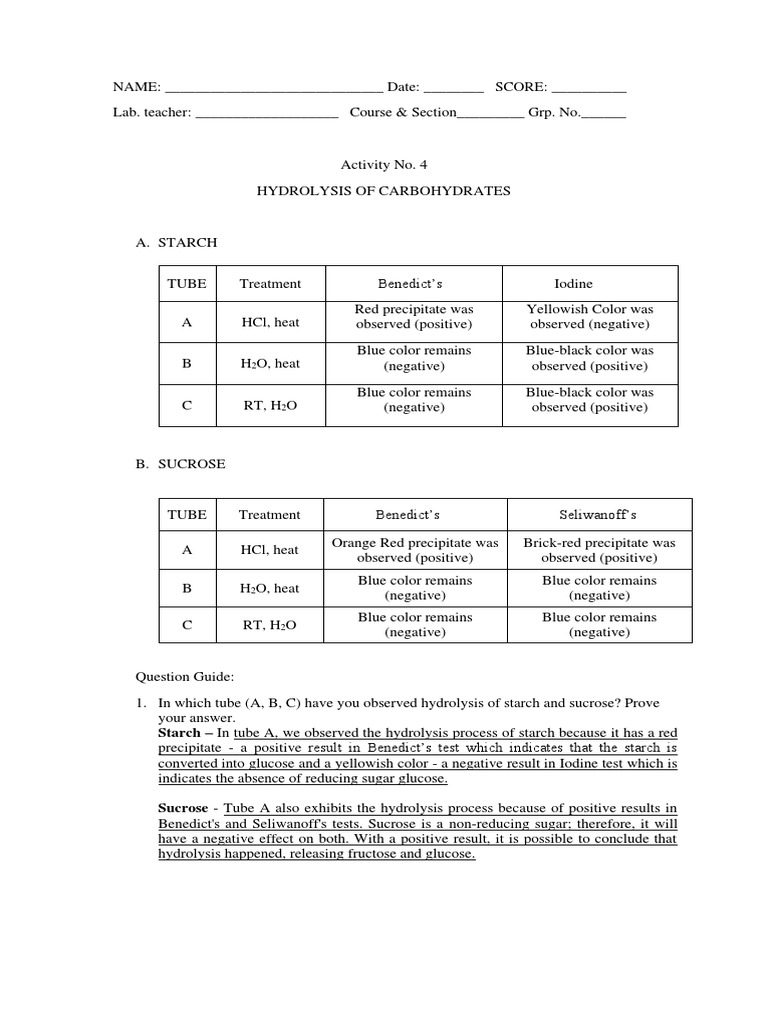 Starch and Sucrose Hydrolysis Lab Results | PDF | Starch | Hydrolysis