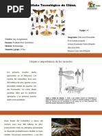 Origen y evolución de los insectos | PDF | Insectos | Escala de tiempo ...