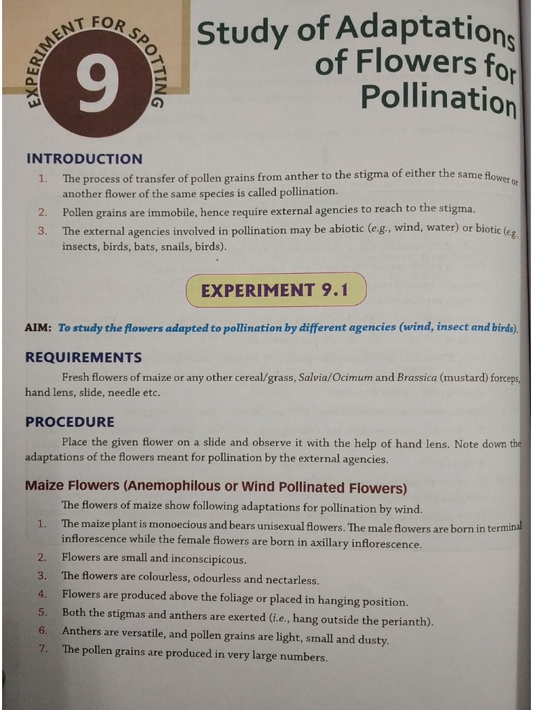 Spotting Experiment Class 12 | PDF