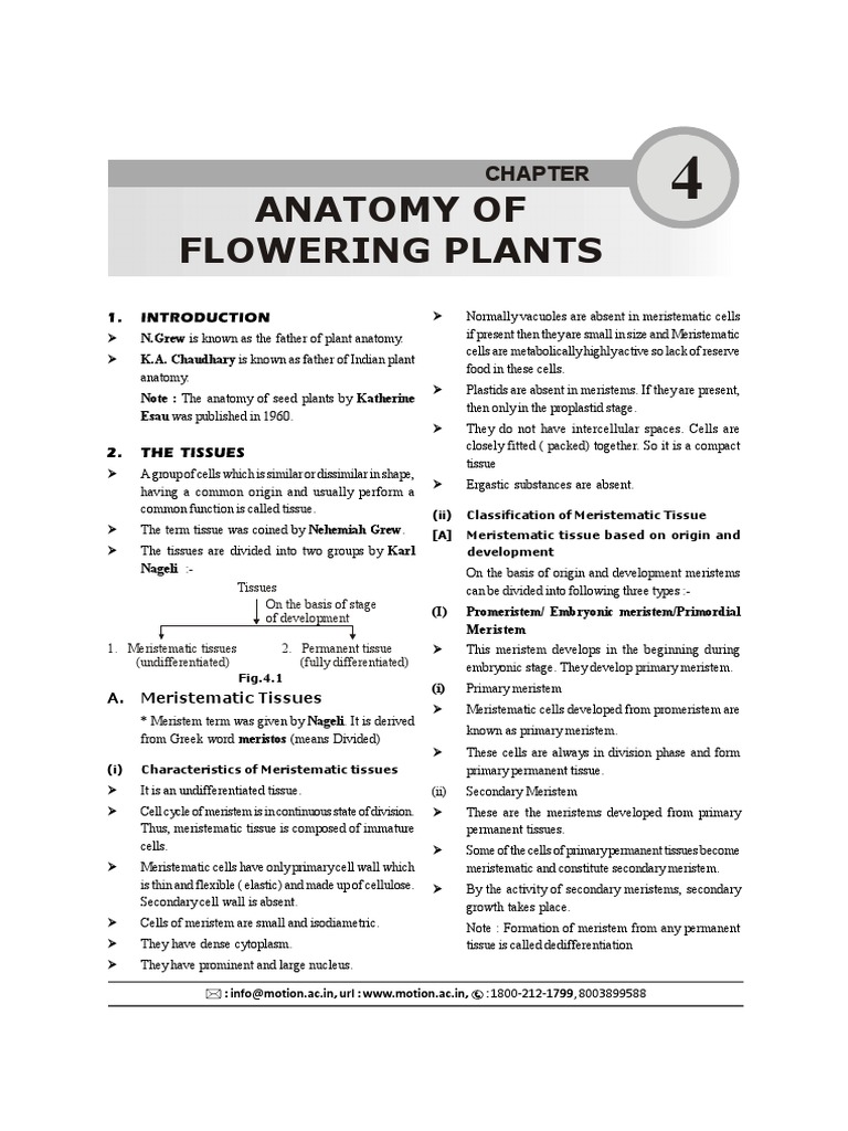 Anatomy of Flowering Plants | PDF | Tissue (Biology) | Plant Stem