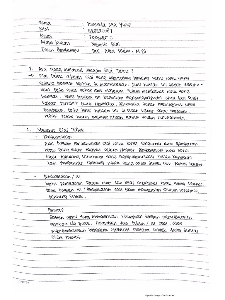 Menulis Esai | PDF