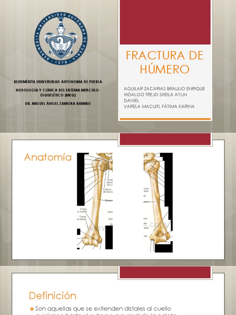 Fractura de Húmero | PDF | Hombro | Codo